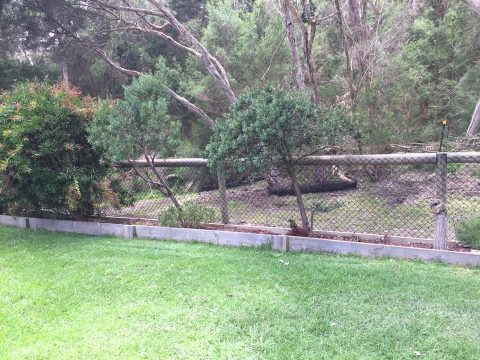 SERVICES | Tassie Fencing Co